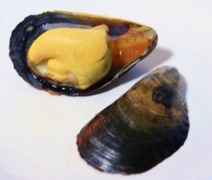 Fast, Cheap and Easy (Um, this is about how to cook mussels)