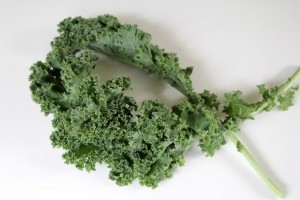 Kale Varieties 101: A Pictorial and Written Guide