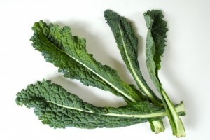 Kale Varieties 101: A Pictorial and Written Guide